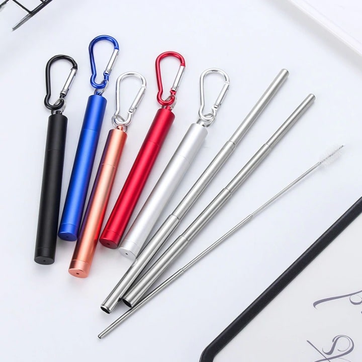 Retractable Stainless Steel Straws with Cases • The cocktail store